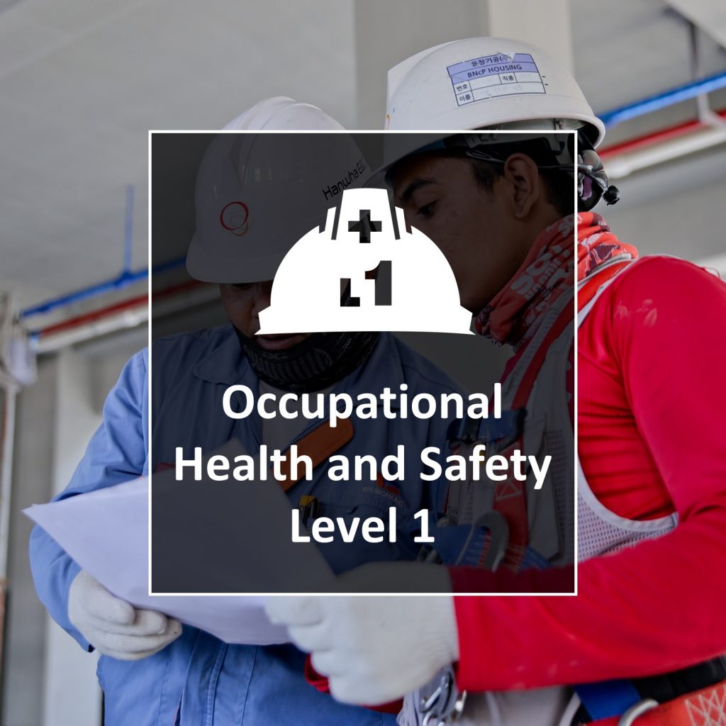 Occupational Health & Safety Level 1 - Live in UK
